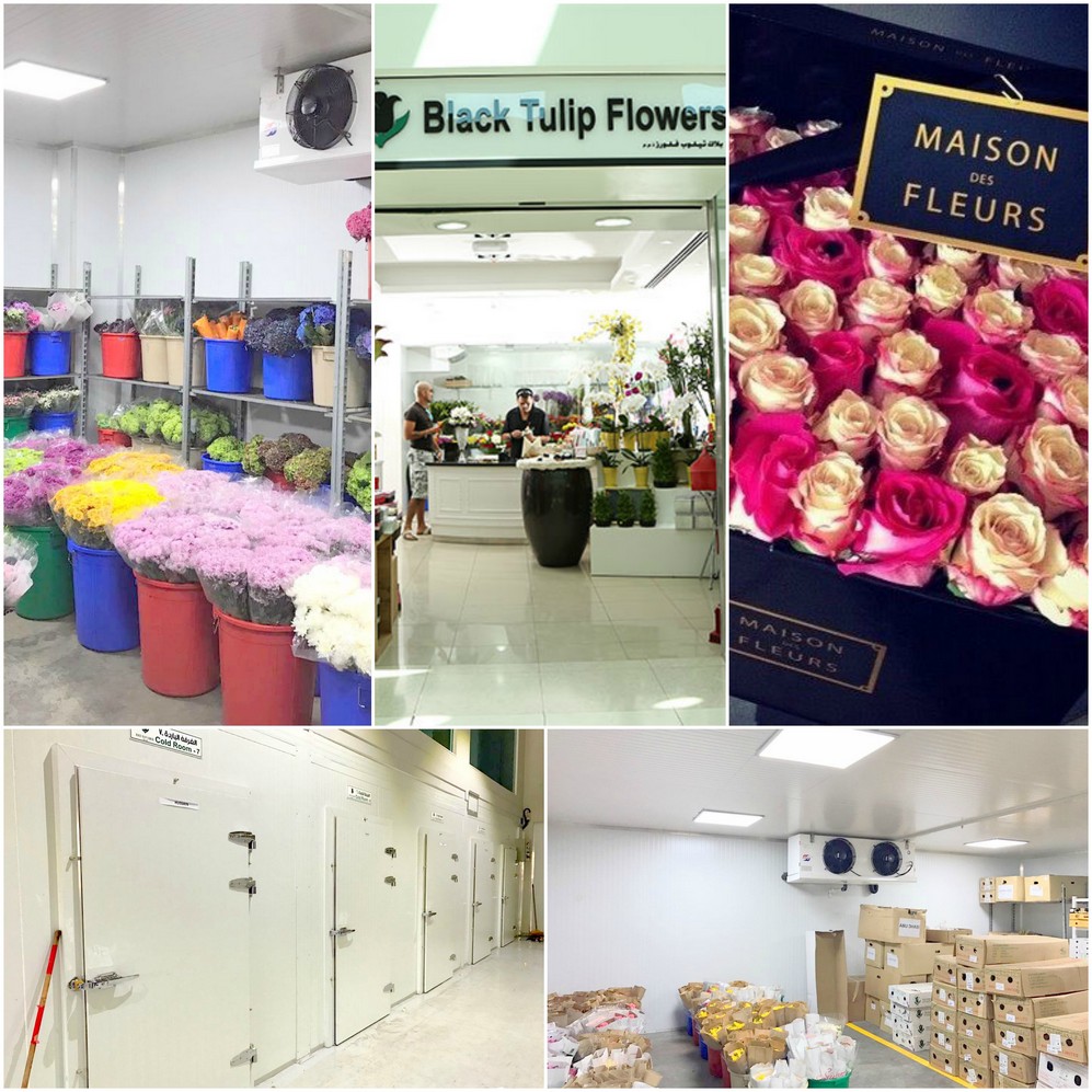 Our projects and service delivered